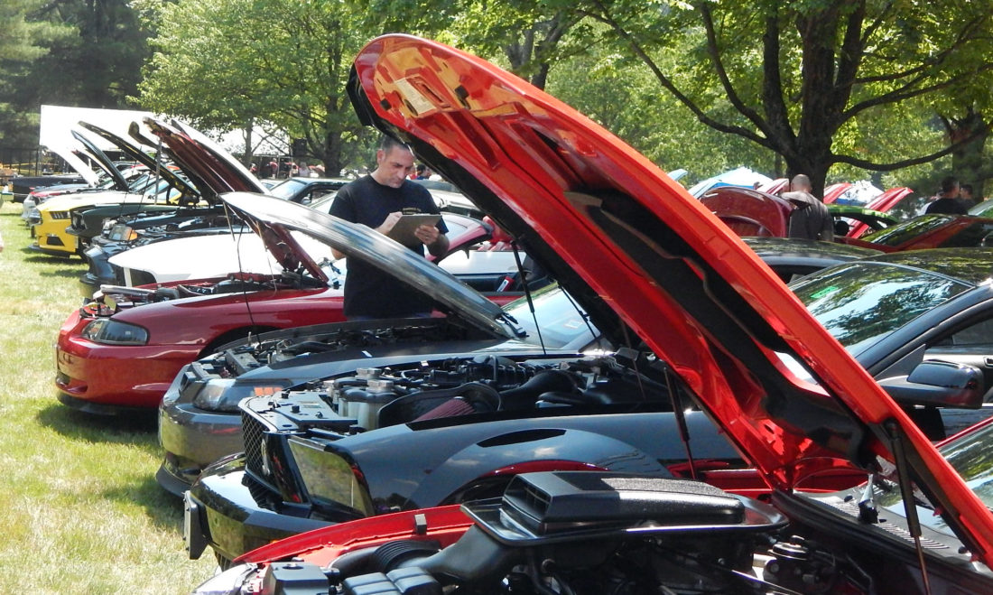 Mustangs and more: Mustang Mania event draws an array of makes and ...